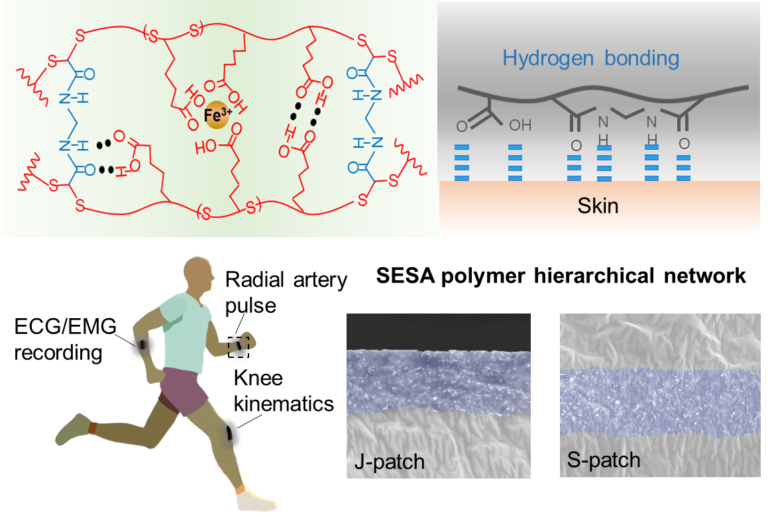 Elastic and damage-tolerant dry epidermal patch – Ho Ghim Wei Research ...
