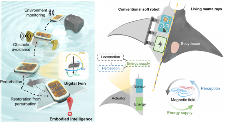 Embodied intelligence untethered soft robots – Ho Ghim Wei Research Group