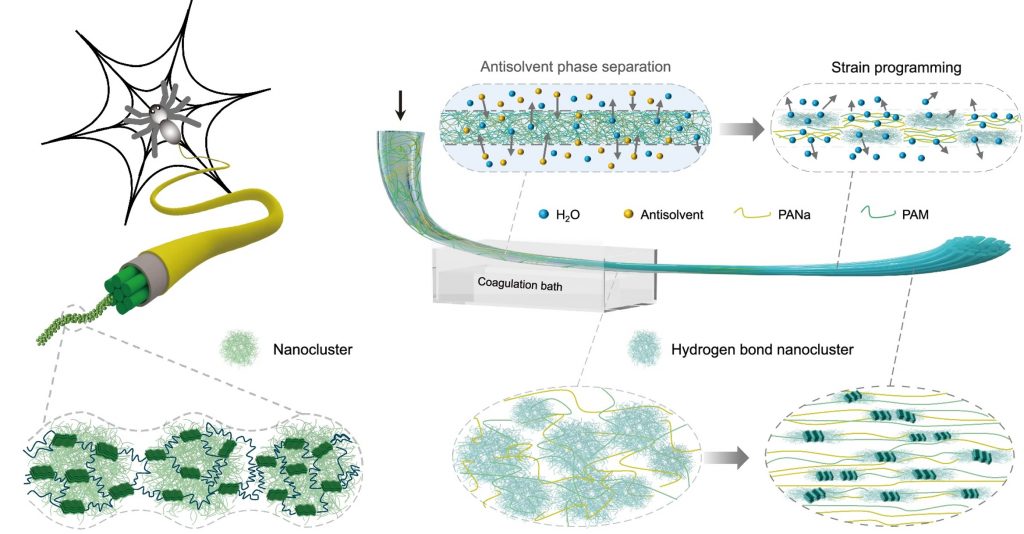 Controlled microphase separation and strain programming – Ho Ghim Wei ...